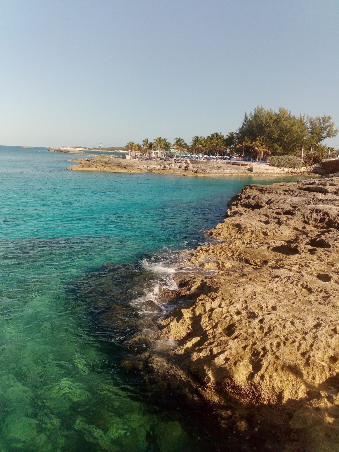 Emily.bee findom links | Findom.to